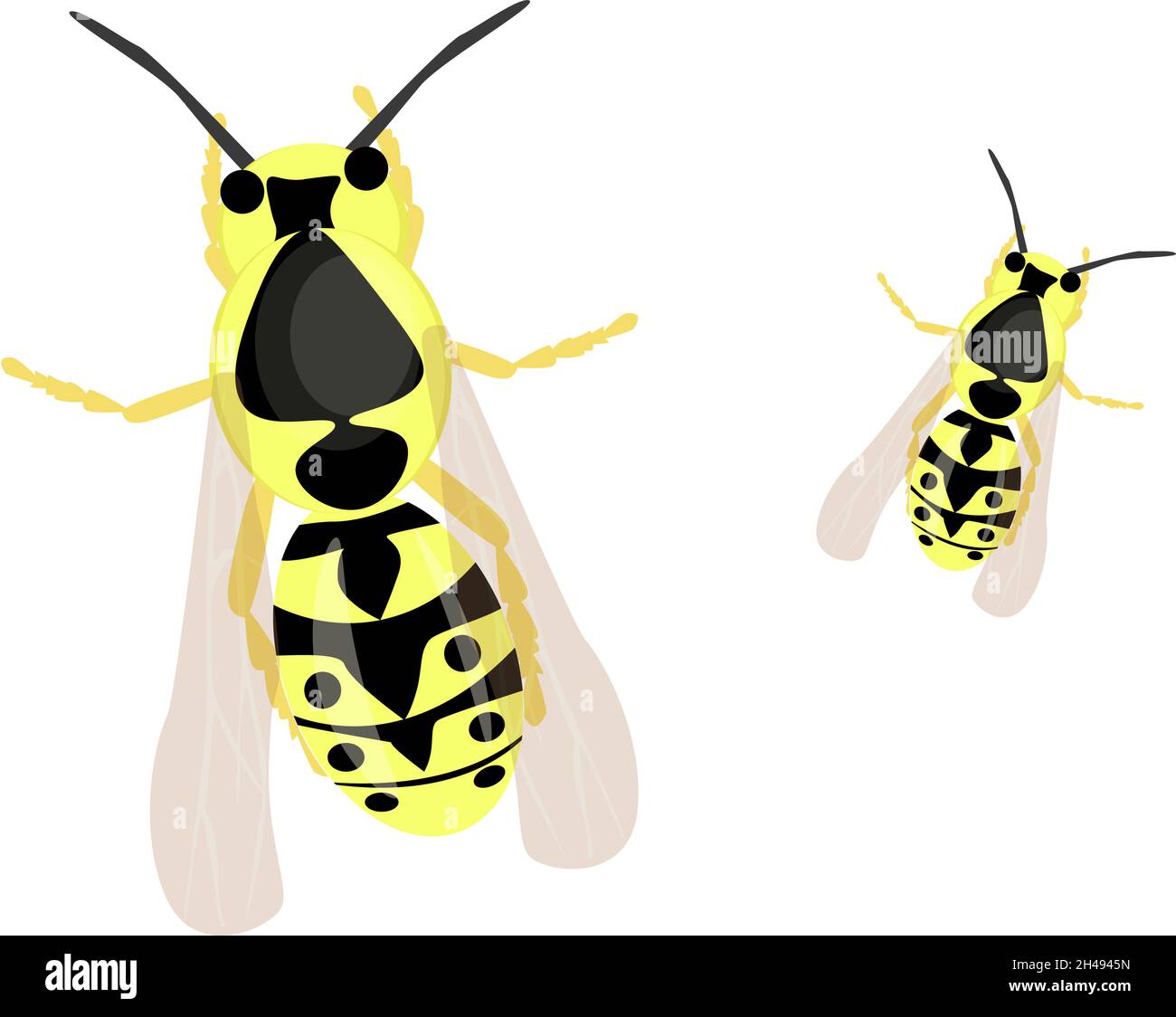 Flying wasp, illustration, vector on a white background Stock Vector ...