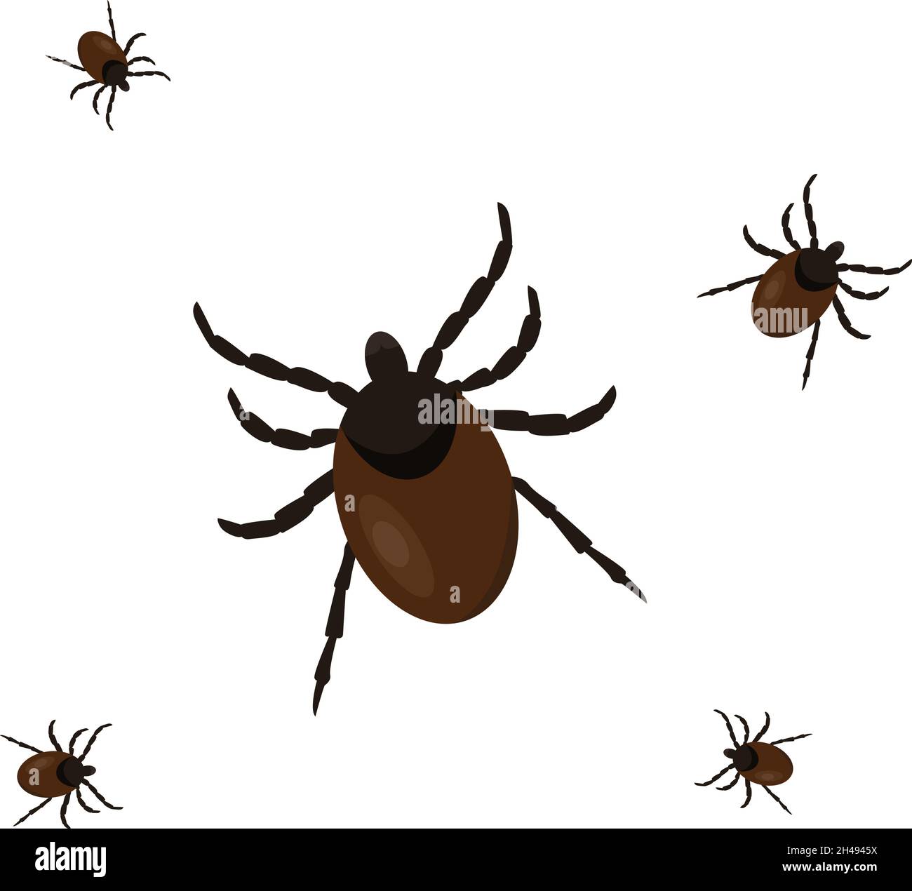 Tick bug, illustration, vector on a white background Stock Vector Image ...