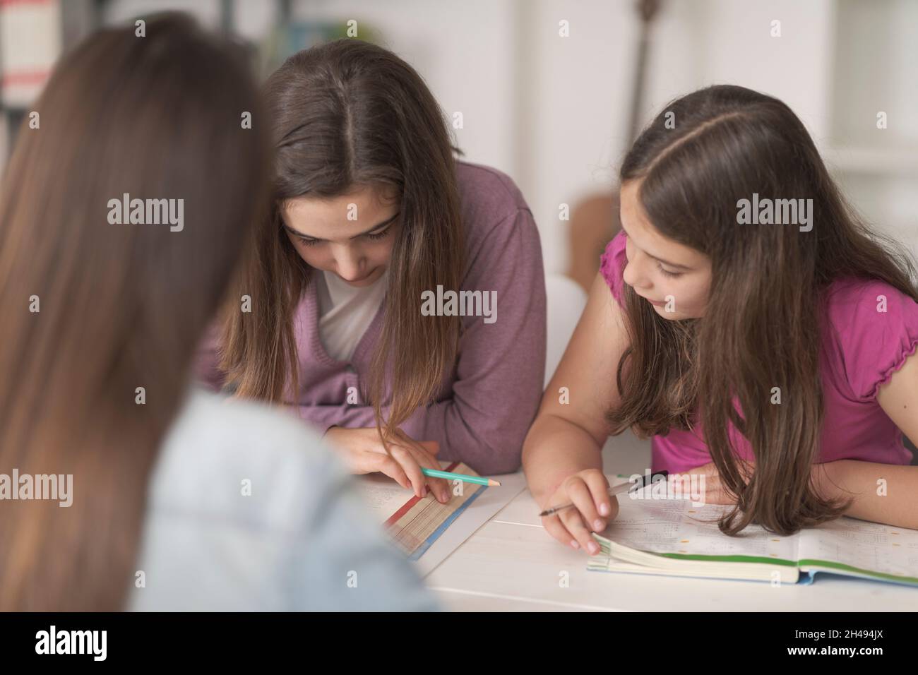 Happy students doing homework together, education and learning at home ...