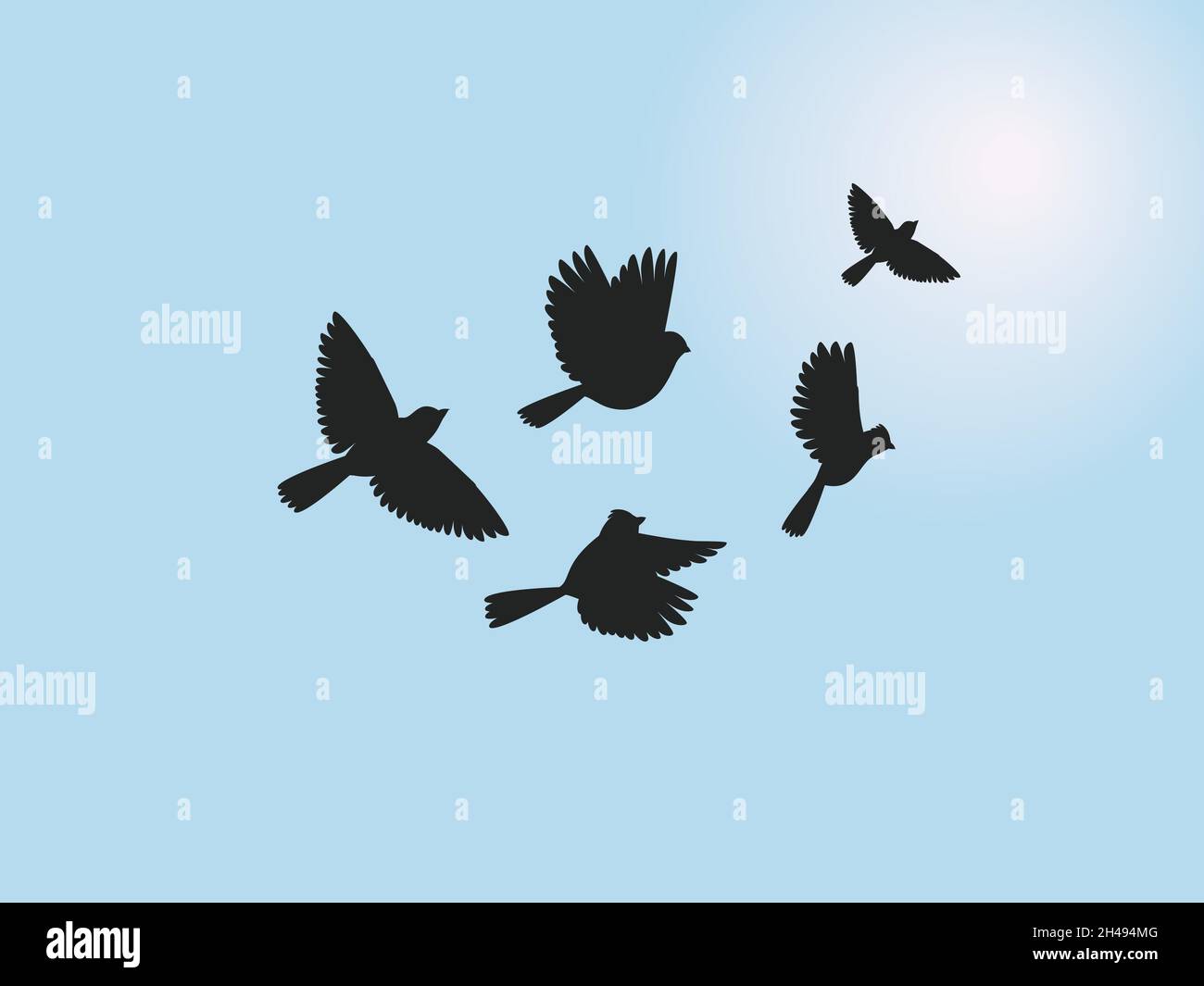 Flyng birds hi-res stock photography and images - Alamy