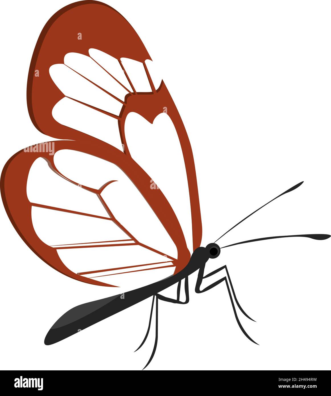 Transparent butterfly hi-res stock photography and images - Alamy