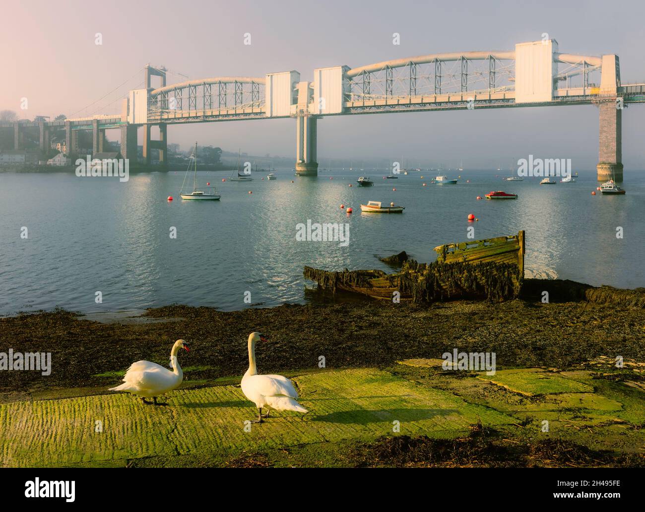 Saltash bridge hi-res stock photography and images - Alamy