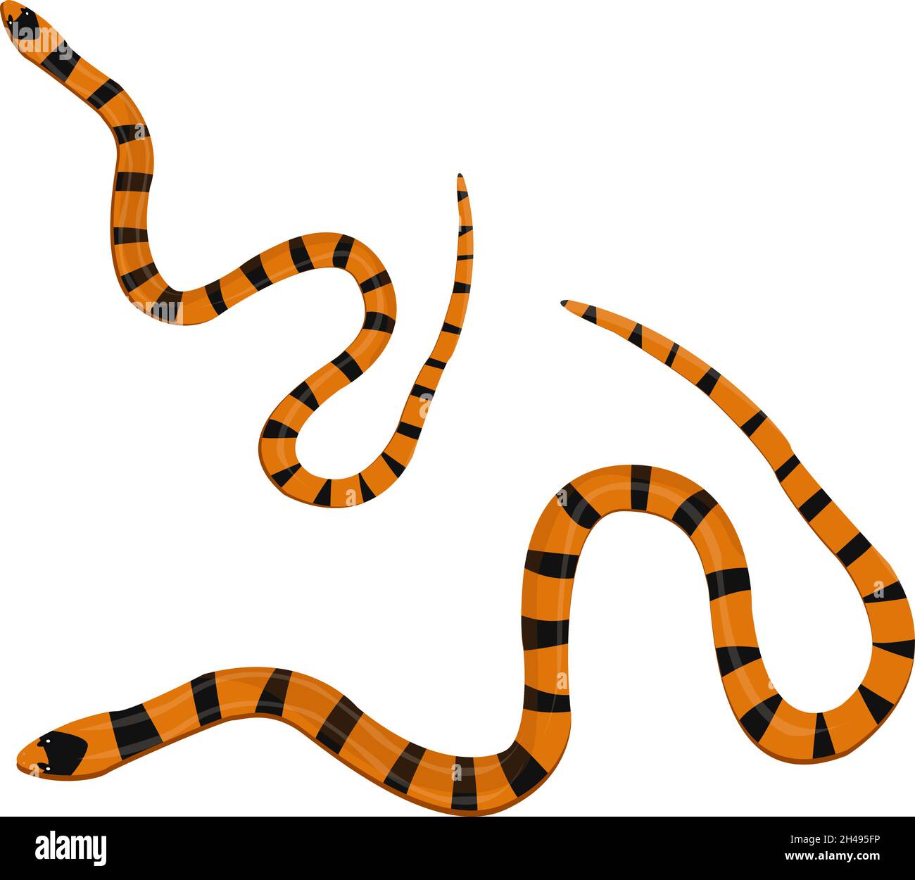 Reptile herpetology Stock Vector Images - Alamy