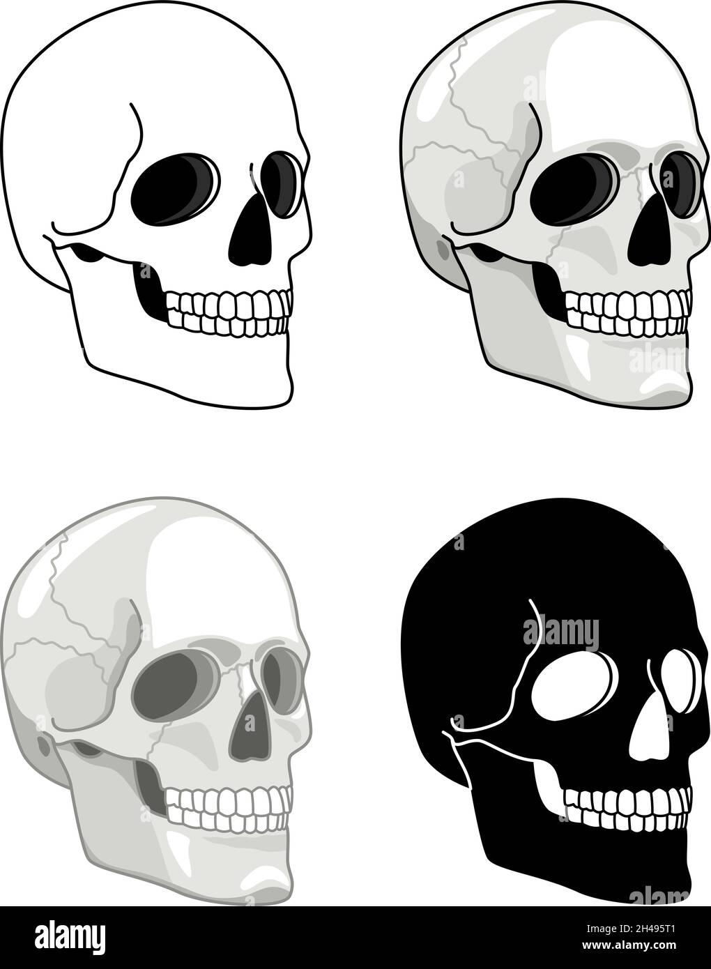 Simple drawn skull. Vector hell skulls icons, tattoo human skeleton ...