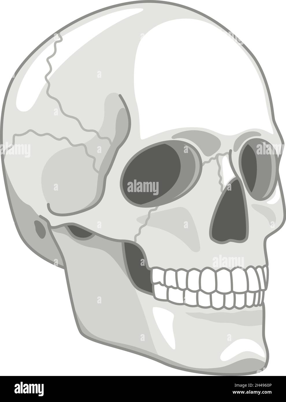 How To Draw A Cartoon Skull Really Easy Drawing Tutorial, 47% OFF