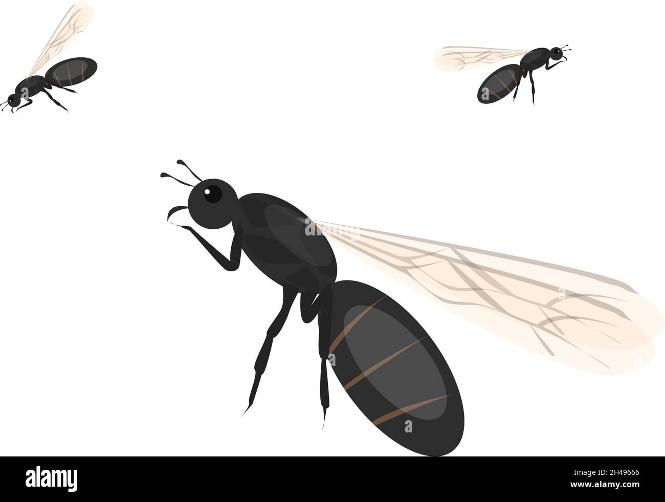 Winged ant, illustration, vector on a white background Stock Vector ...