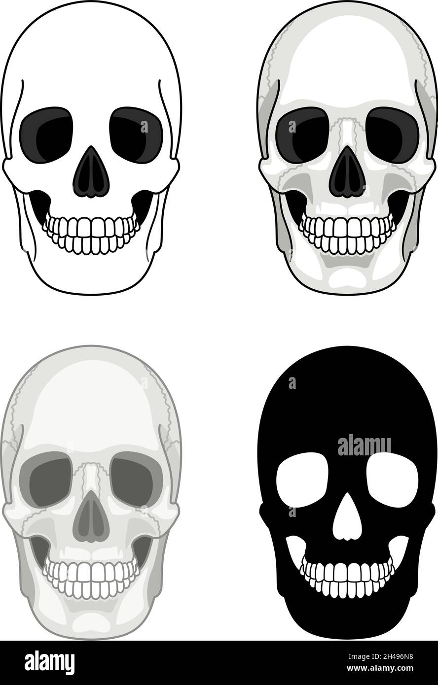 Simple skull. Doodles skulls vector cartoon illustration, line black ...