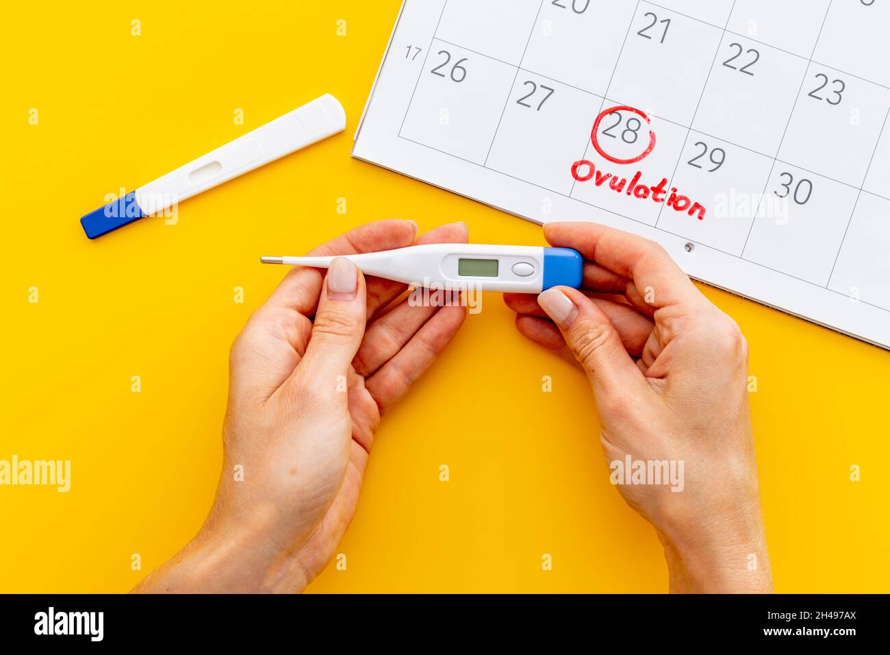 Female hand with thermometer over calendar basal temperature Stock ...