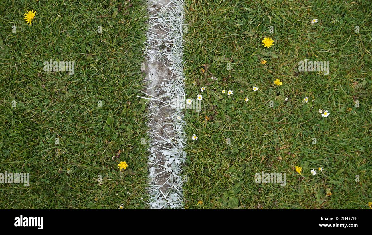 Sports and flowers hi-res stock photography and images - Alamy