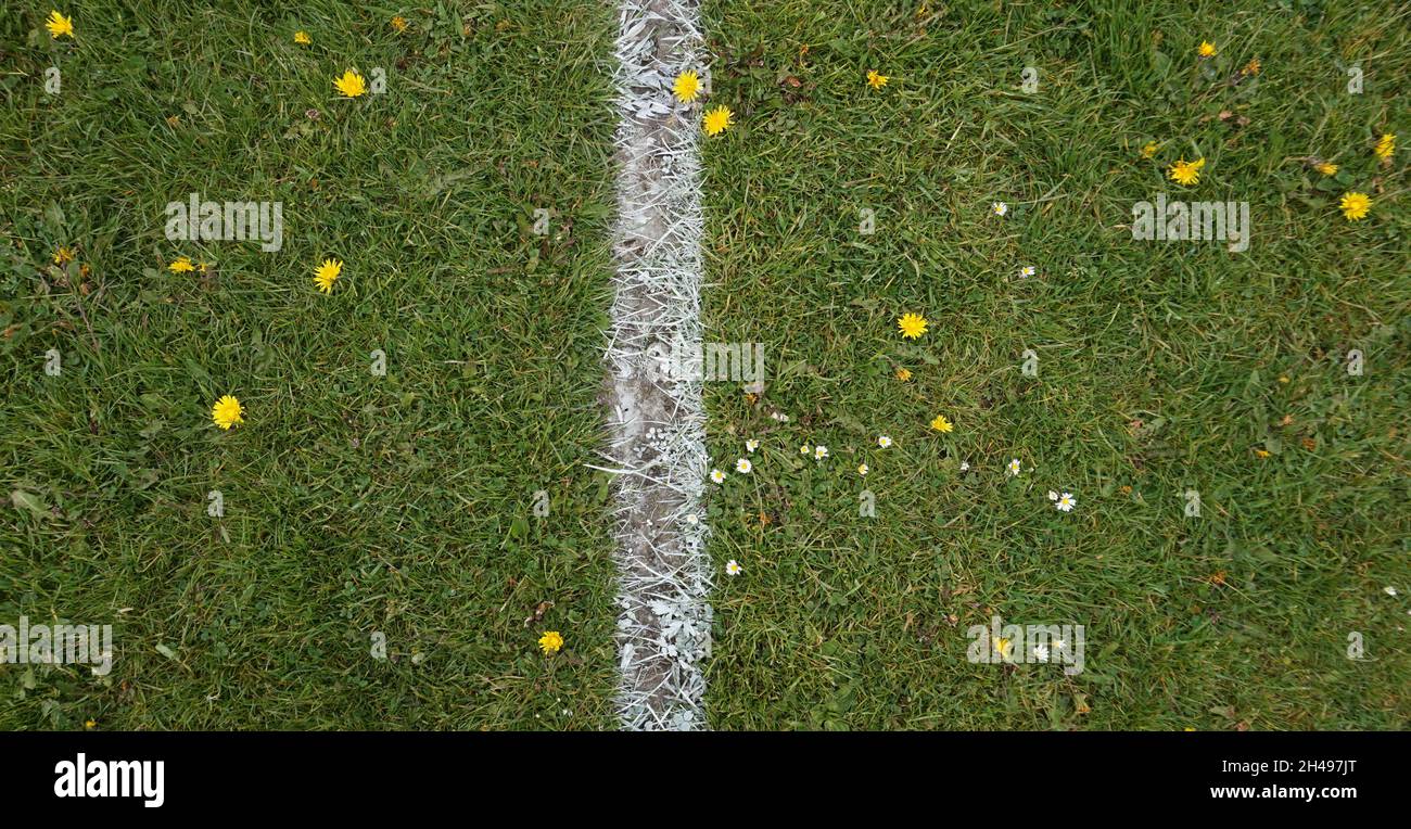 Photograph, a close up of white marking of sports pitch on grass, with ...
