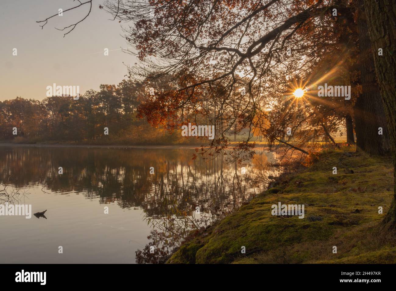 October sunrise hi-res stock photography and images - Alamy
