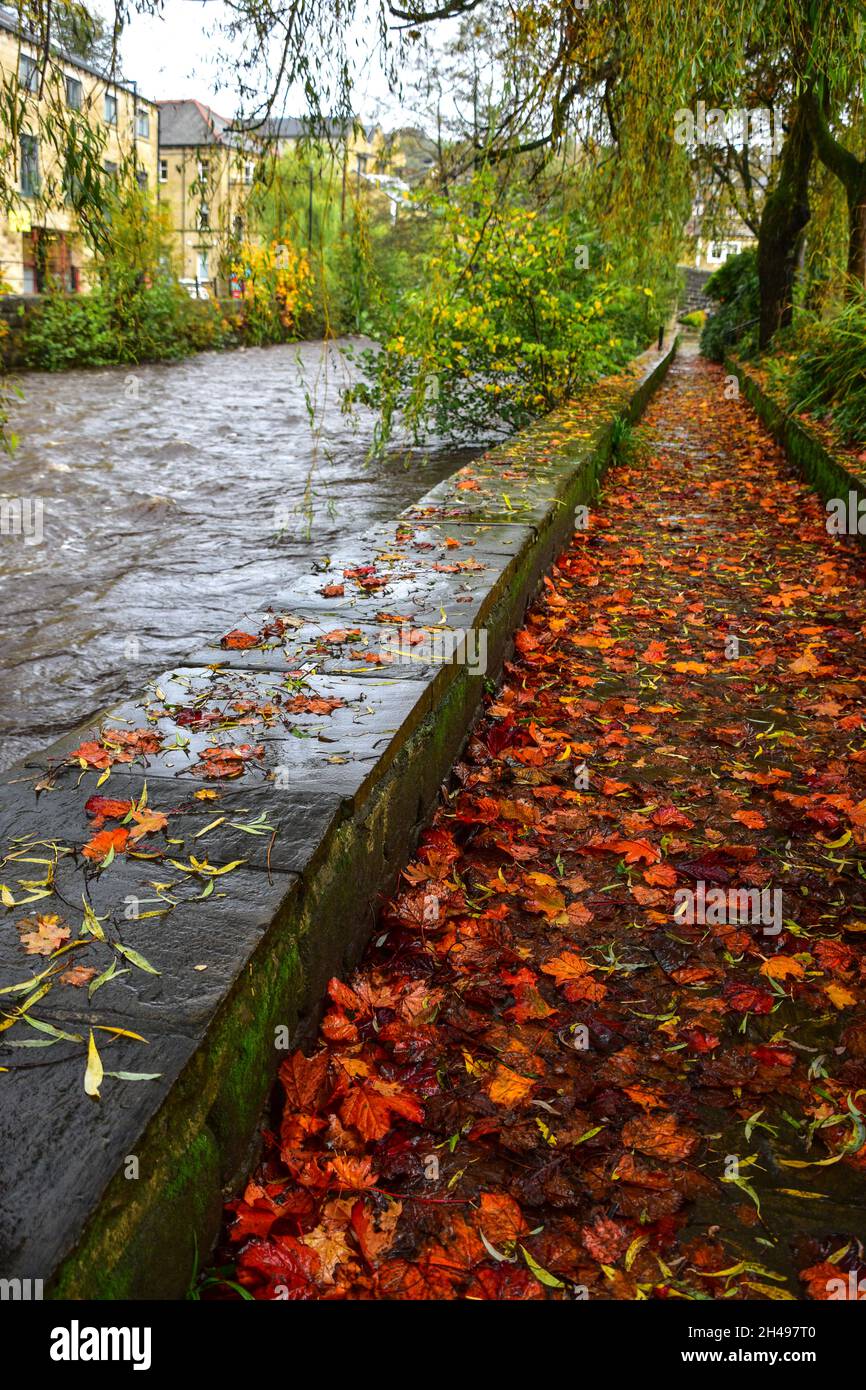 Autumn Leaves, Hebden Water, Hebden Bridge, Calderdale, West Yorkshire ...