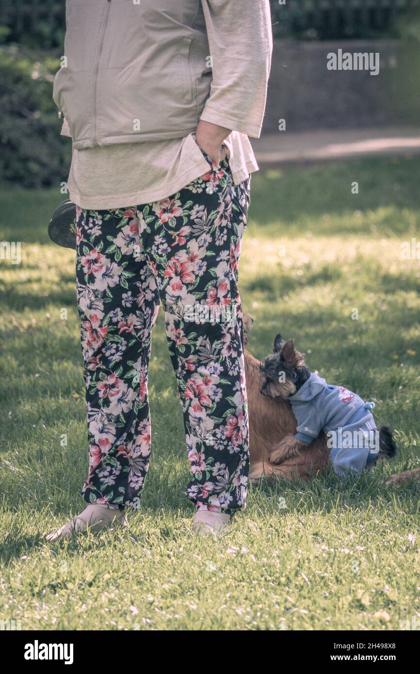 Candid image of two dogs copulating at a woman's leg shot in 'Martin ...