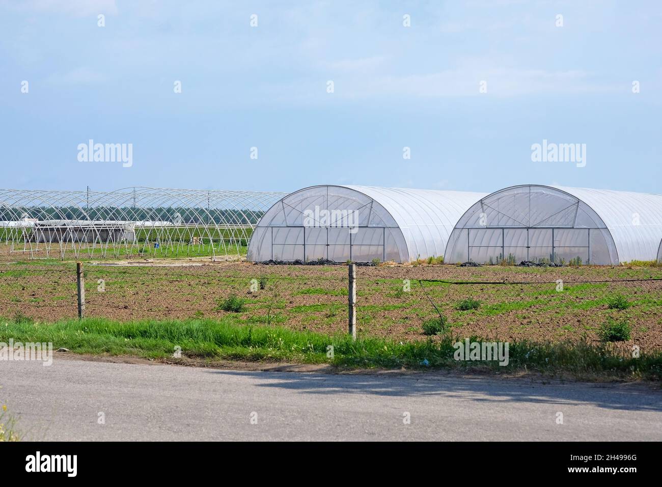 Large greenhouse on a day with blue sky. Agricultural greenhouses ...
