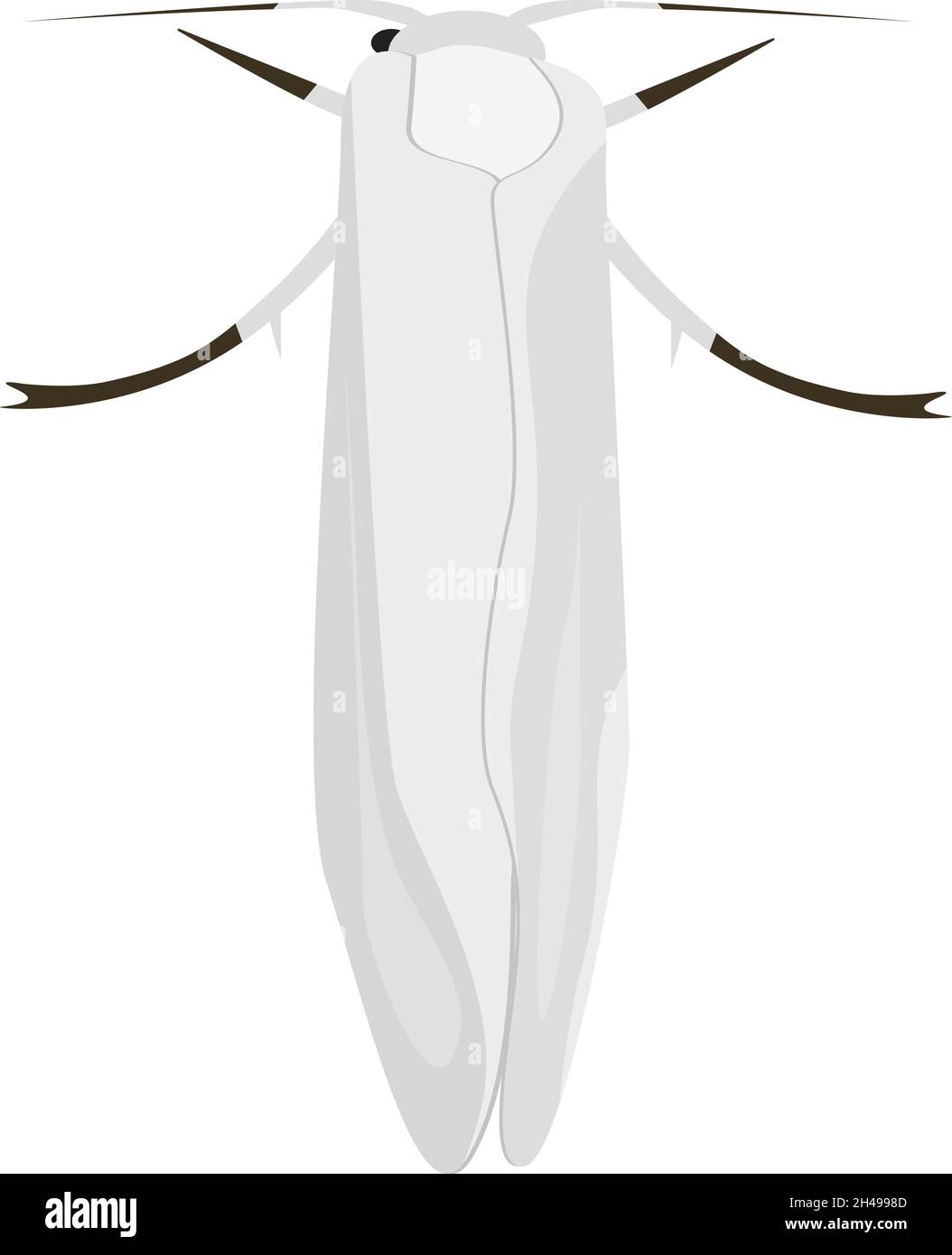 Yucca moth Stock Vector Images - Alamy