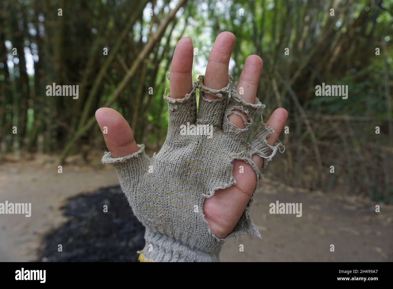 Hands with holes and broken gloves Stock Photo - Alamy