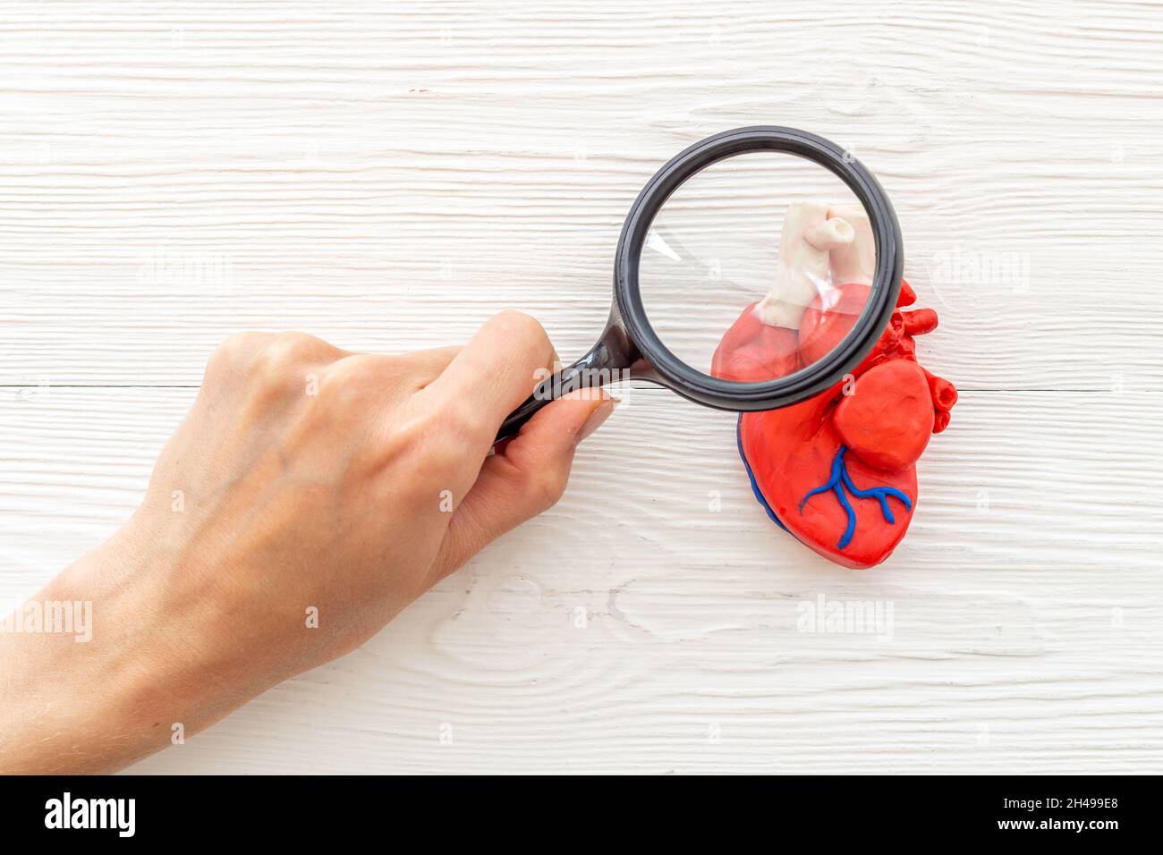 Heart health concept with hands and human heart model Stock Photo - Alamy
