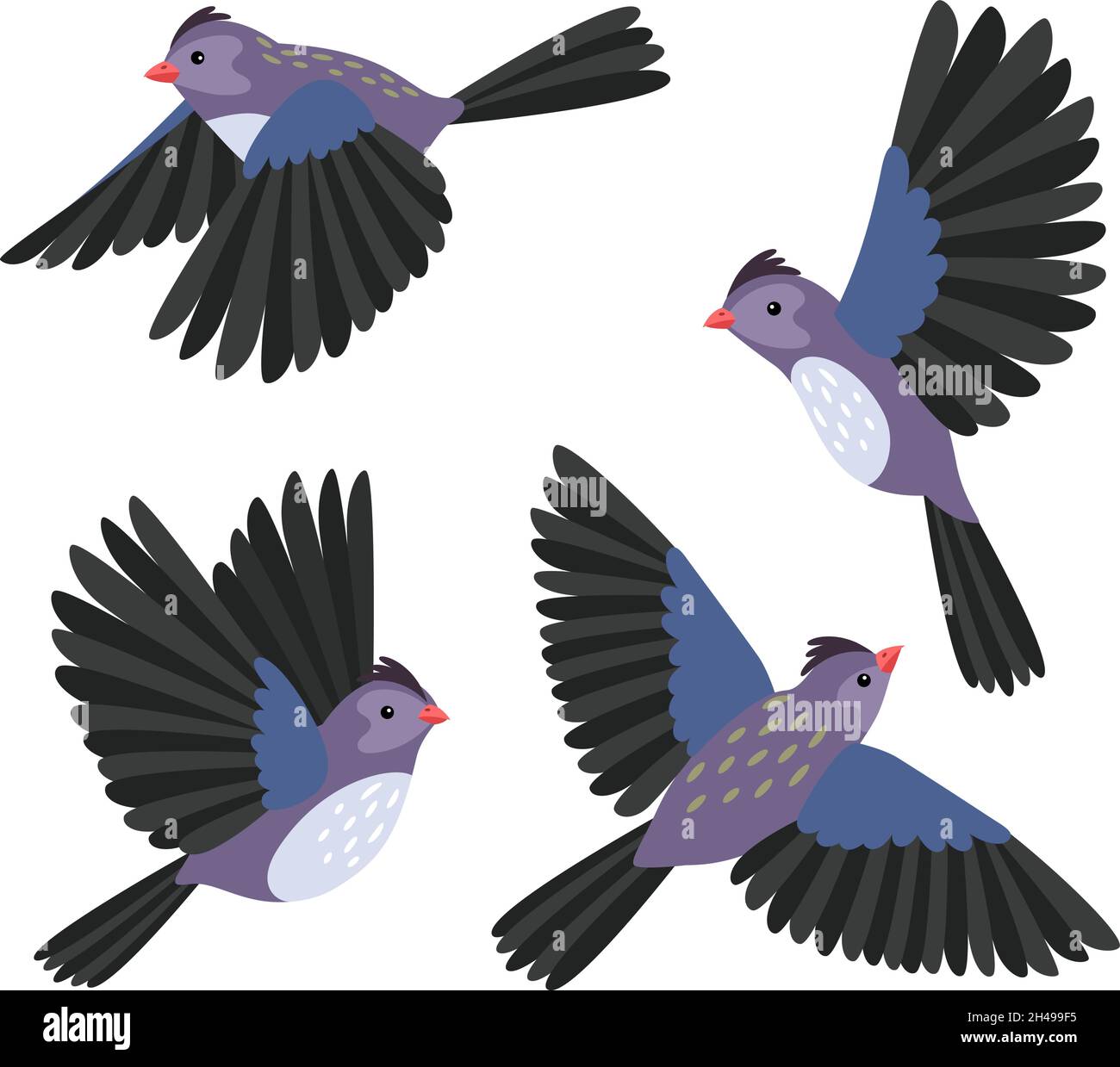 Cartoon flying bird. Birds flyng poses for movement and animation ...