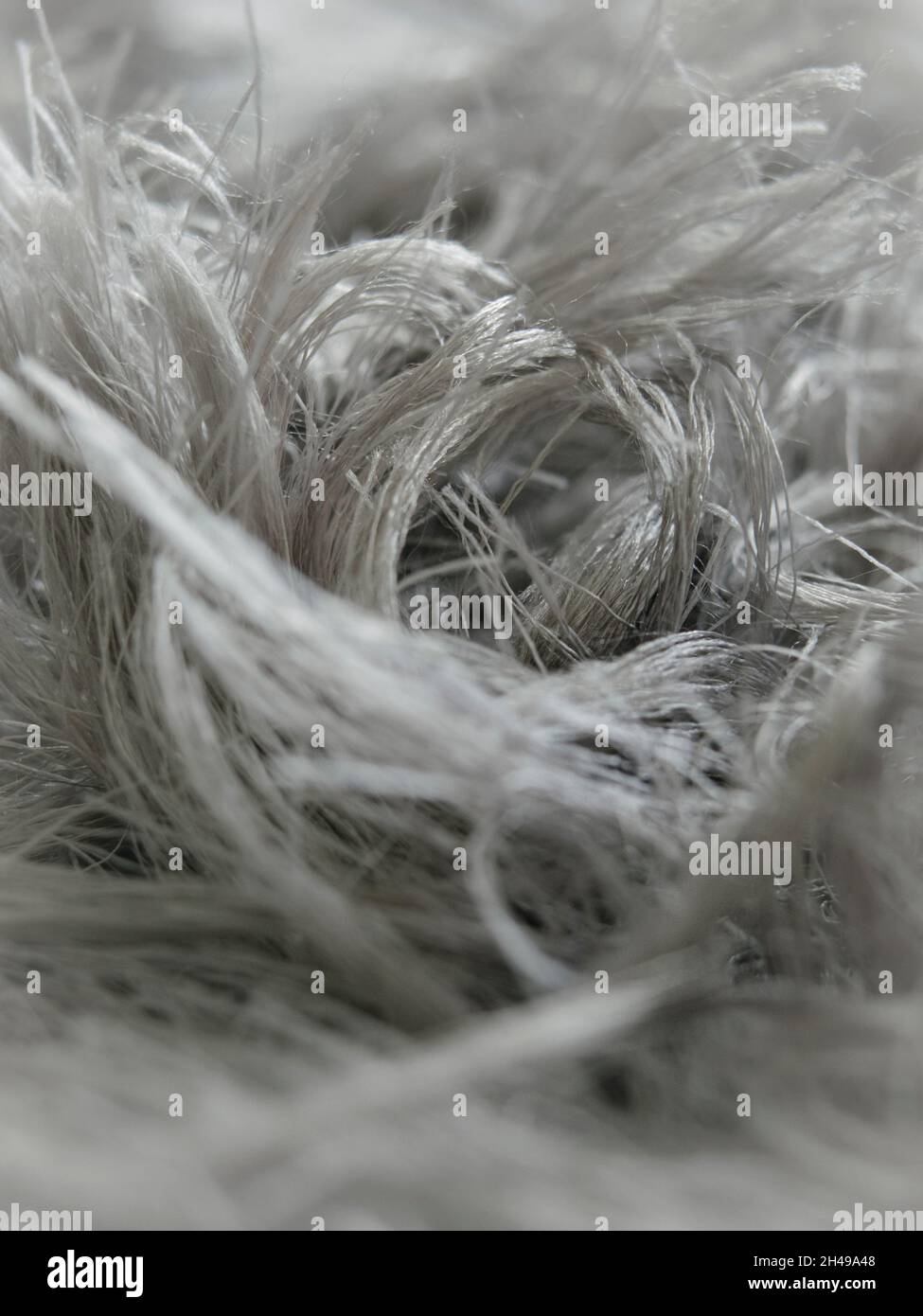 Macro photo of grey carpet fibers curl Stock Photo - Alamy