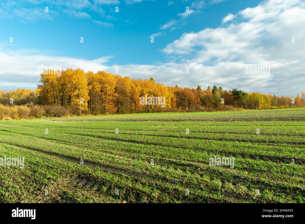 Agriculture colours hi-res stock photography and images - Alamy