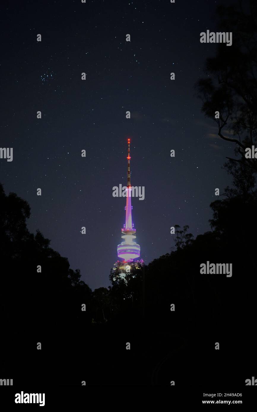 Colorful lights of the Telstra Tower framed with trees silhouette in ...