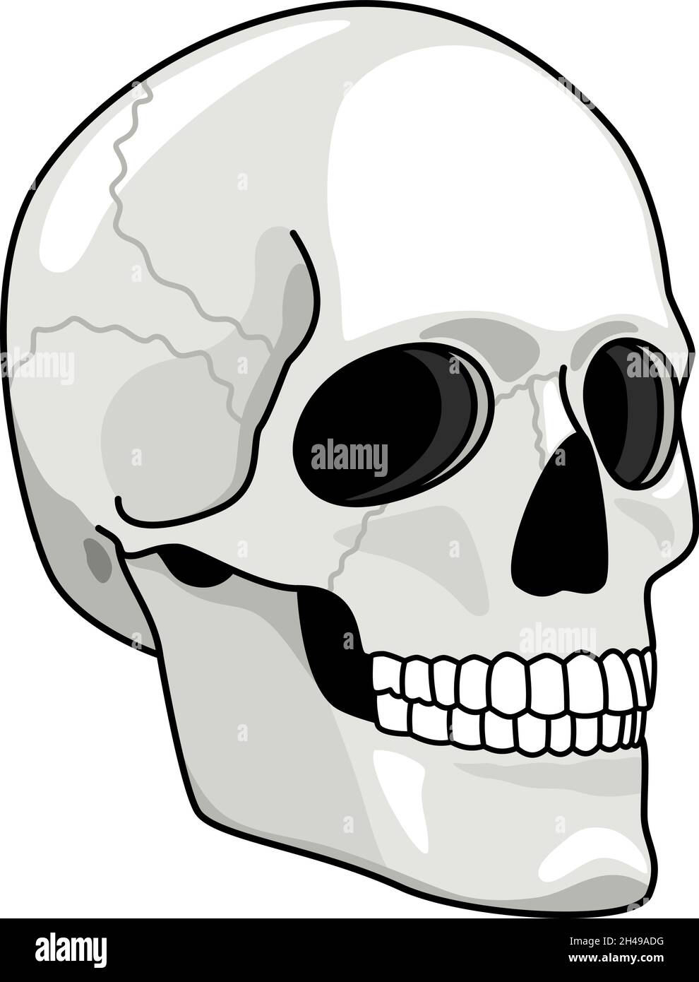 Simple skull. Smiling skulls vector illustration for pirates darkness ...
