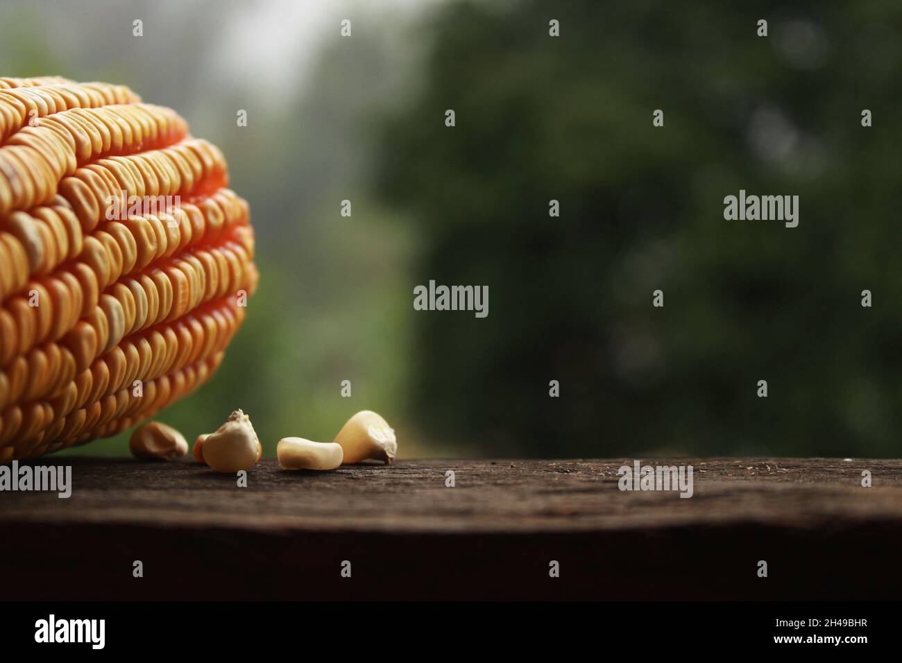 Corn floor hi-res stock photography and images - Alamy