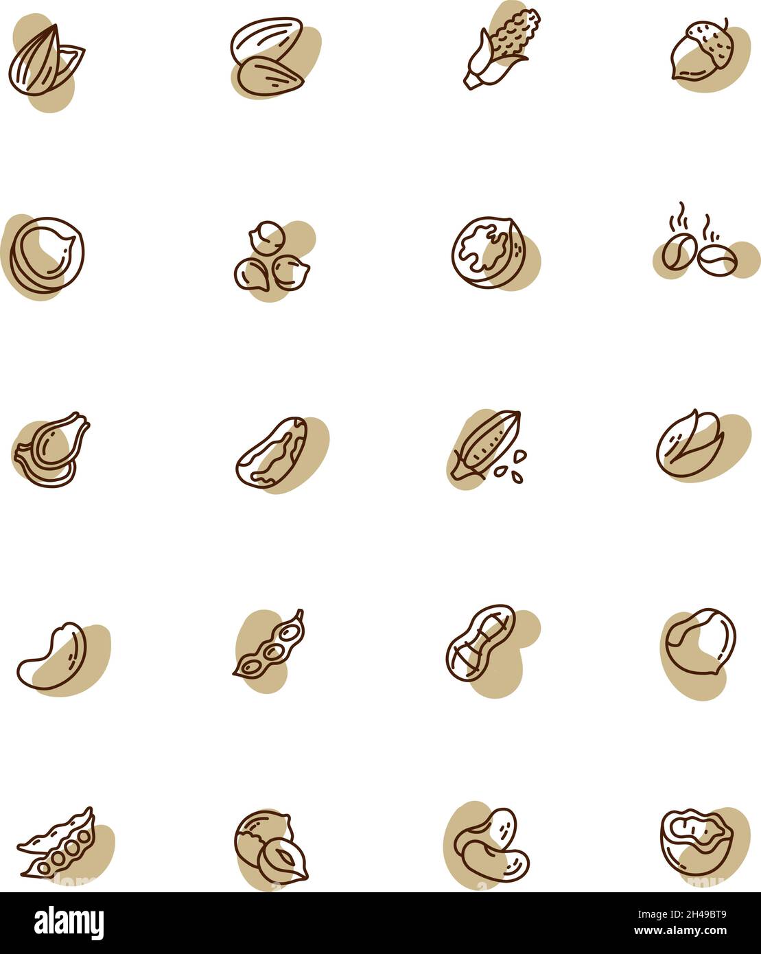 Types of nuts, illustration, vector, on a white background Stock Vector ...