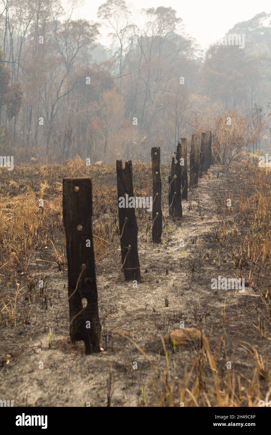 Burnt fence after wildfire hi-res stock photography and images - Alamy