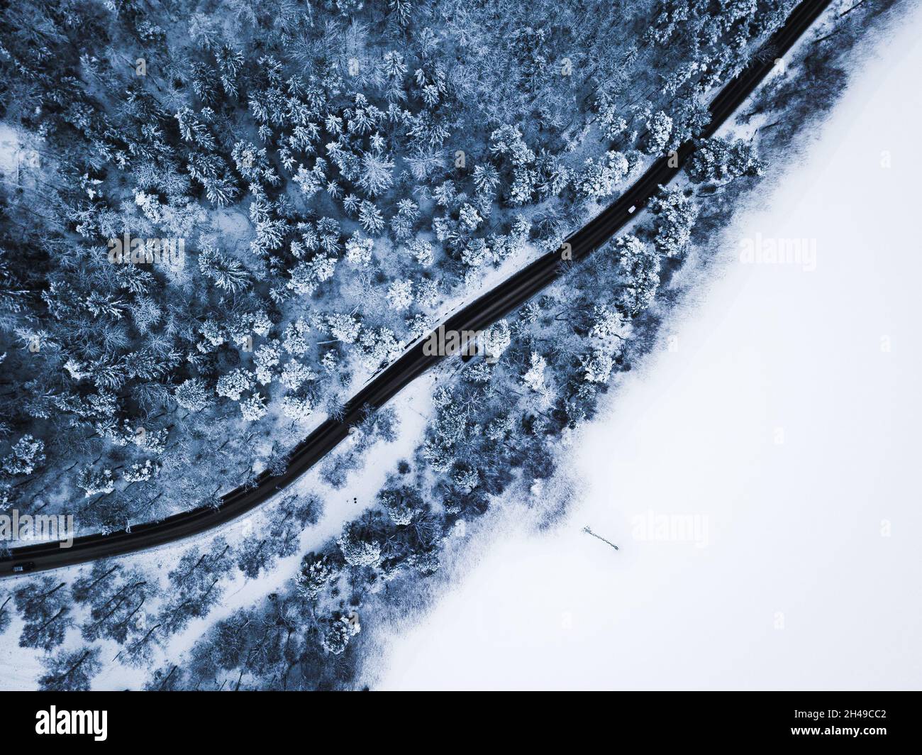 Road surrounded by fir trees in a snowy forest Stock Photo - Alamy