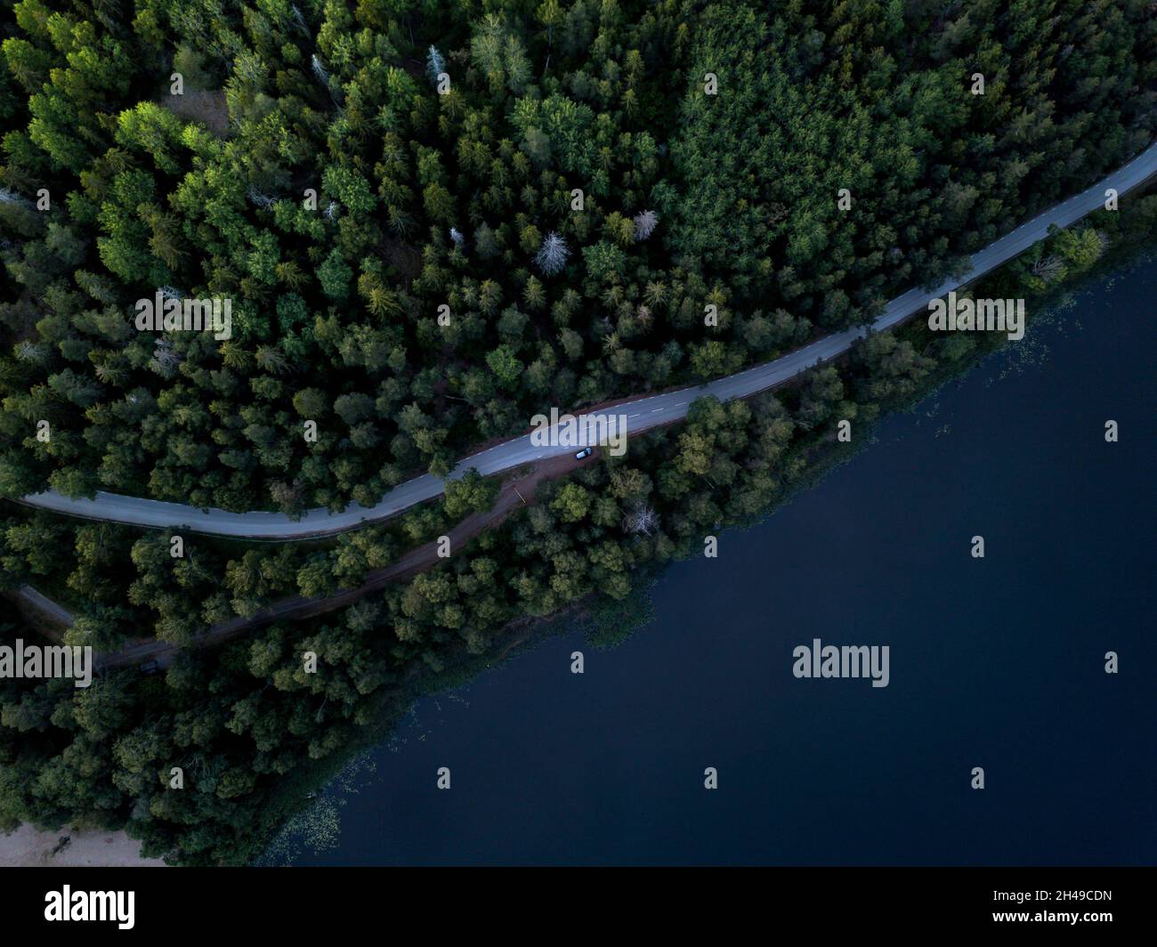 Top view shot of a road surrounded by fir trees near a lake Stock Photo ...
