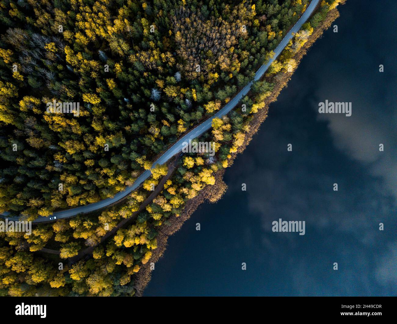Top view shot of a road surrounded by fir trees near a lake Stock Photo ...