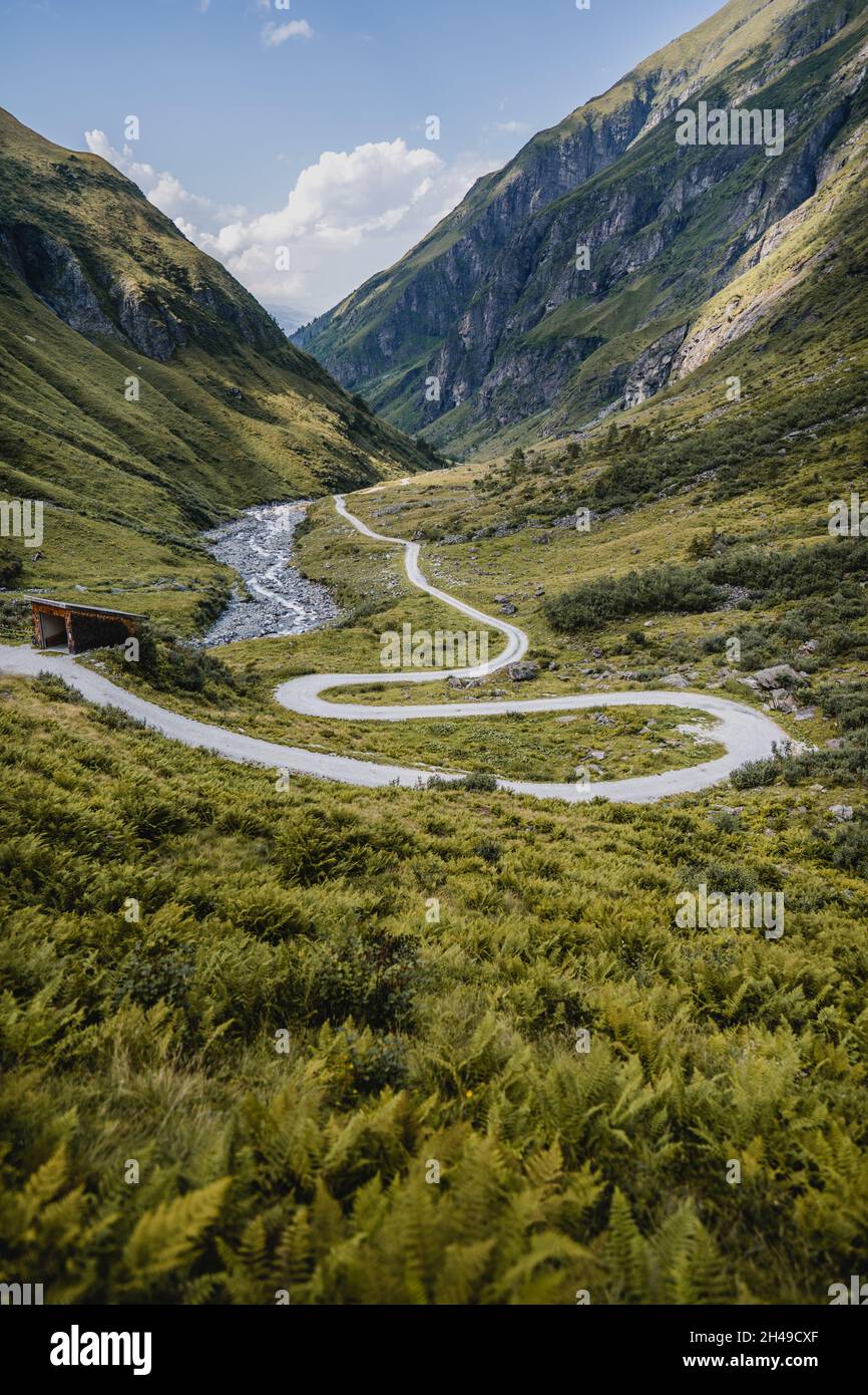 Vertical shot of a flowing thin stream through green mountains in the ...