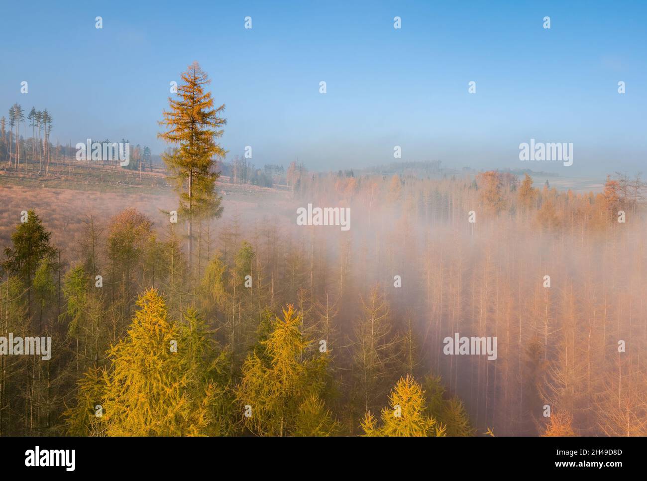 Aerial view of autumn sunrise countryside, traditional fall landscape ...