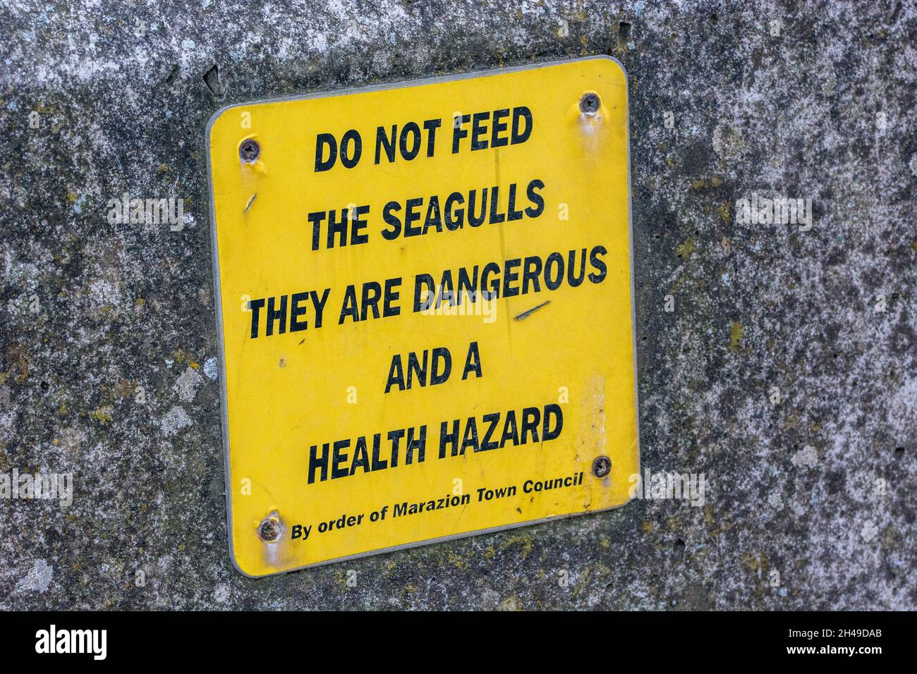 Anti seagull sign hi-res stock photography and images - Alamy