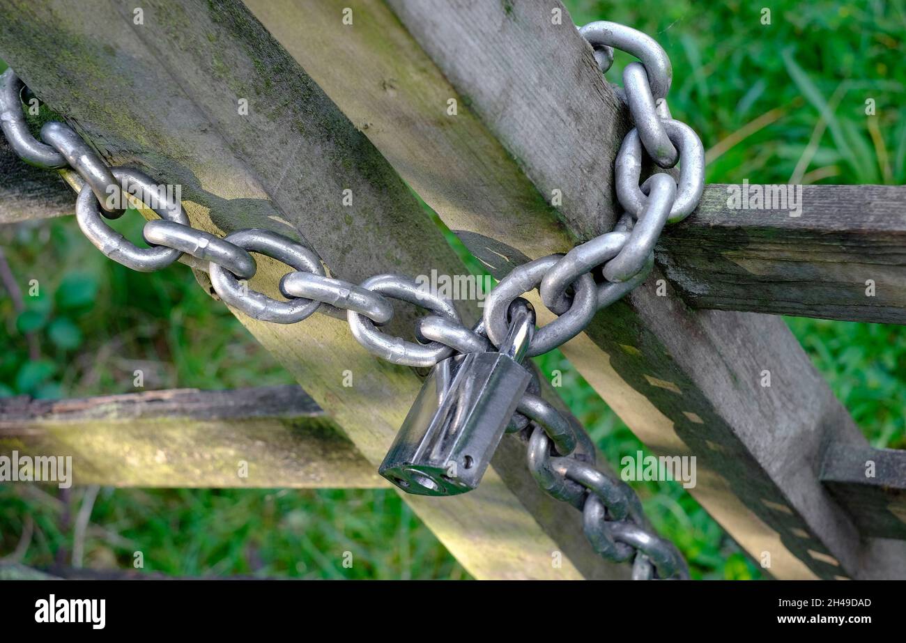padlock and chain on wooden farm gate, norfolk, england Stock Photo - Alamy