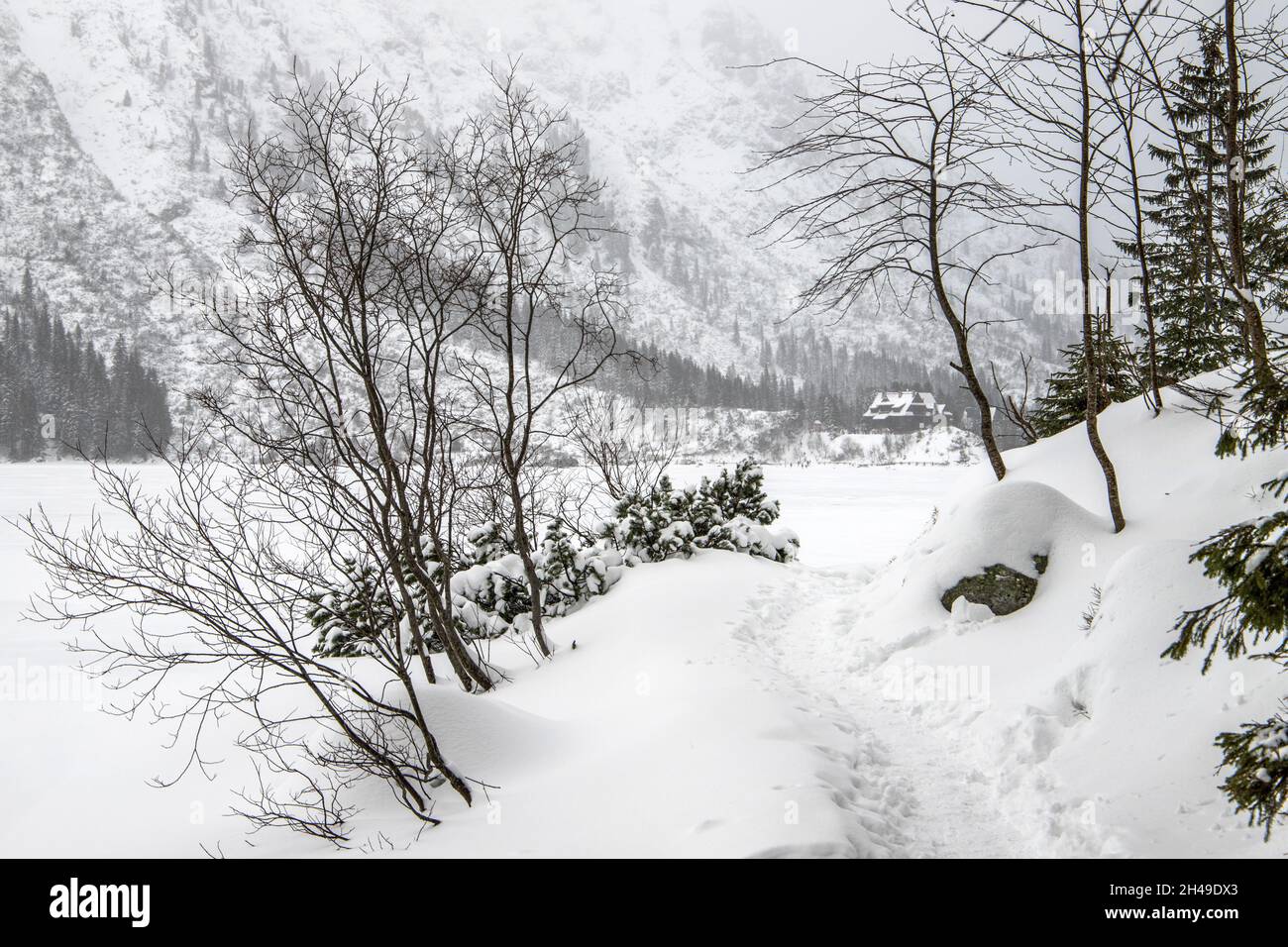 Tatra mountains in Poland winter landscape Stock Photo - Alamy