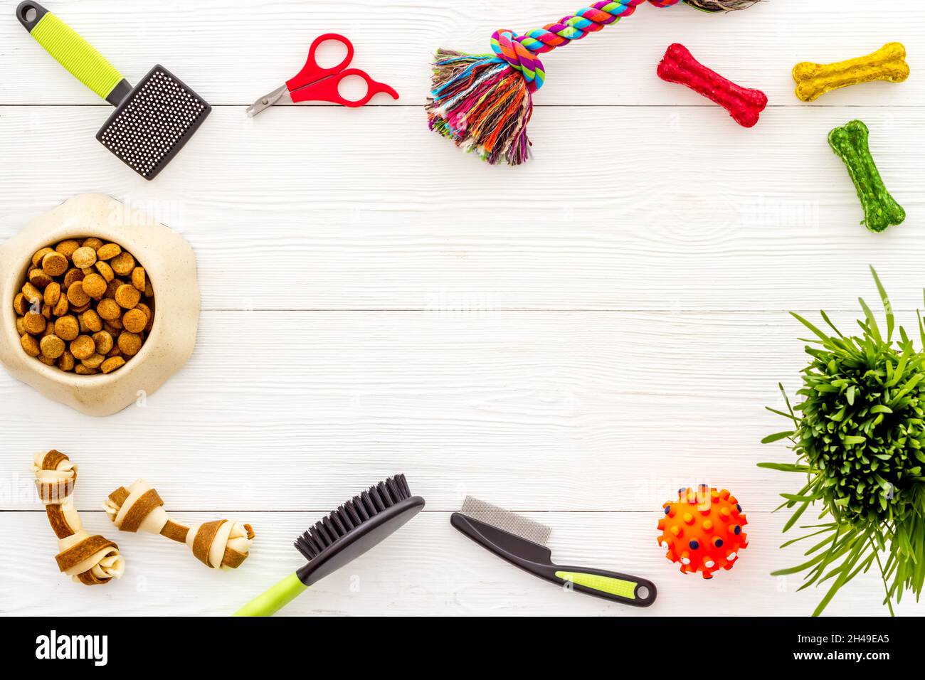 Pet care background top view. Dry dog and cat food with toys Stock ...