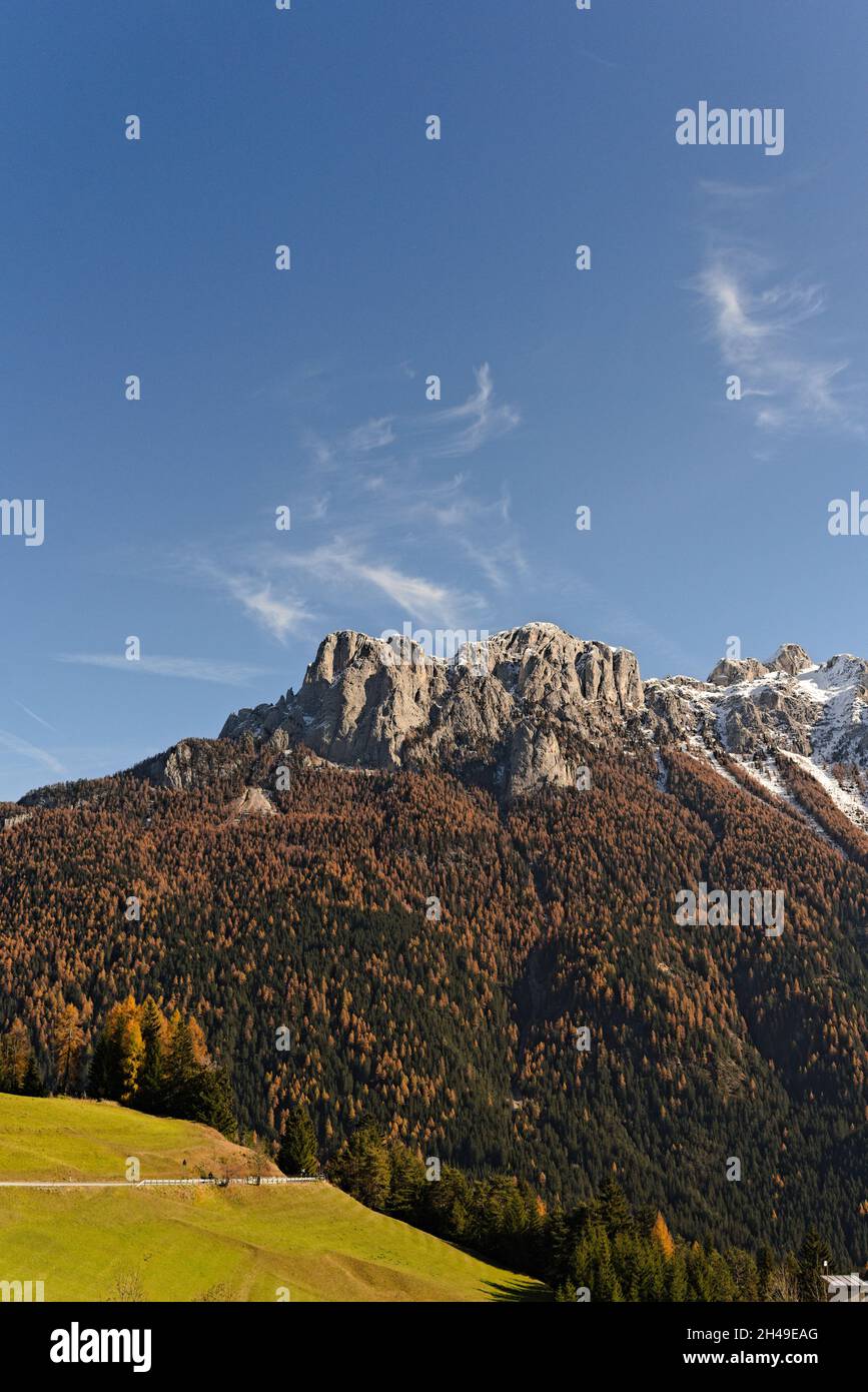 Vertical shot of autumn trees on a beautiful cliffside under a blue sky ...