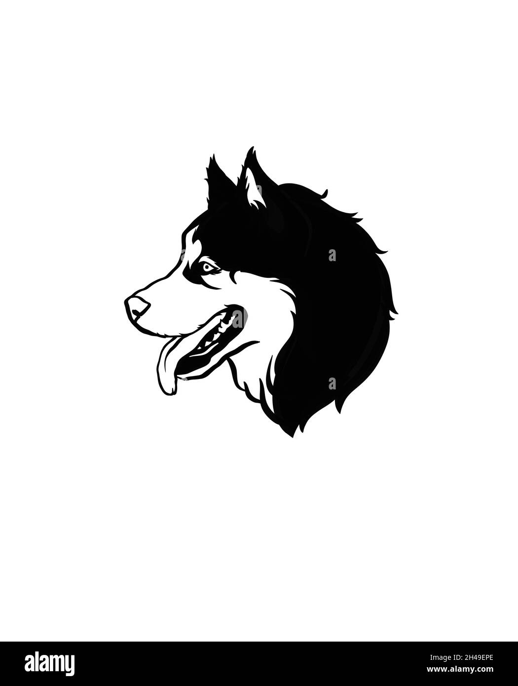 Wolf mascot. Illustration of a Siberian husky Stock Photo - Alamy