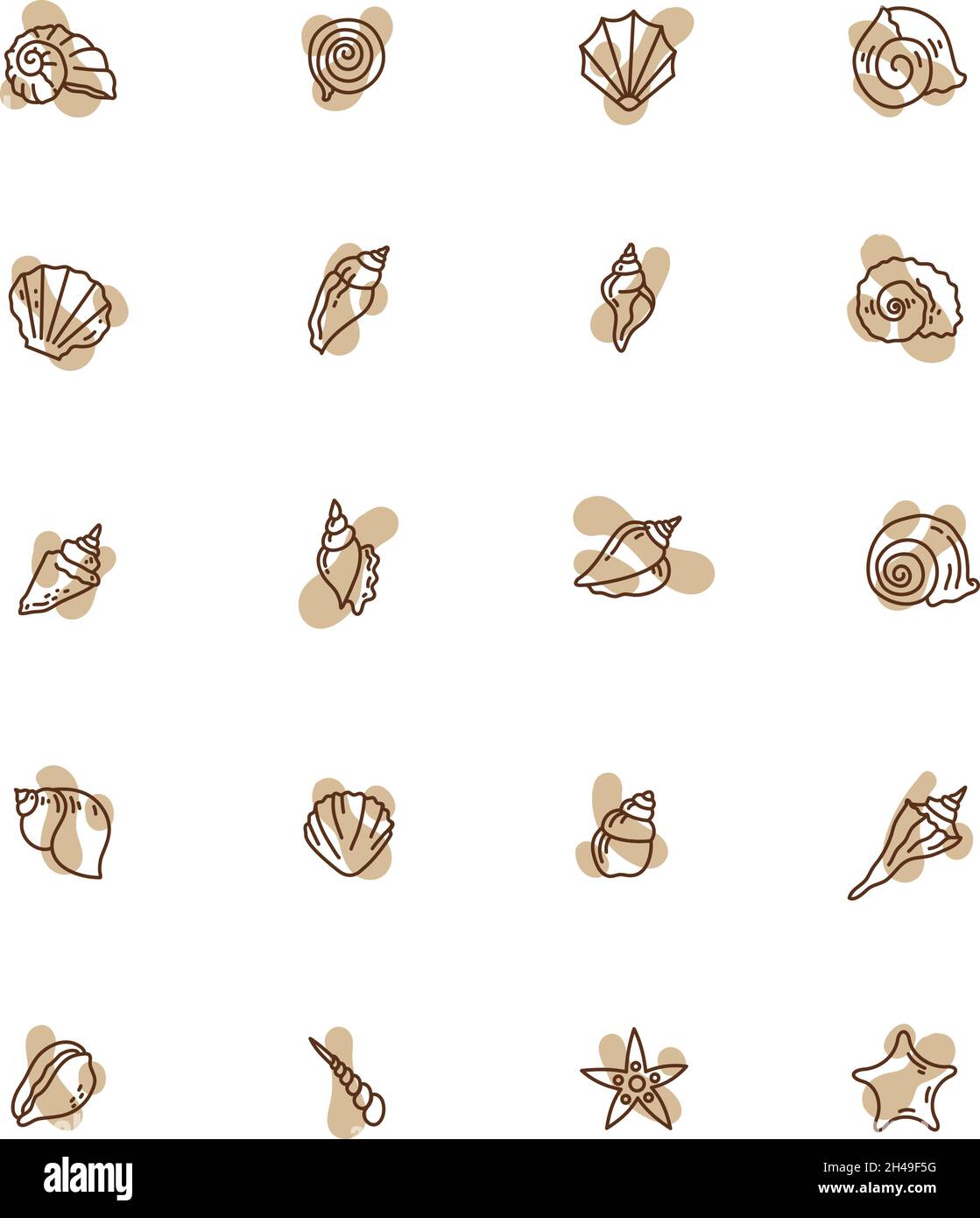 Brown seashells, illustration, vector, on a white background Stock ...