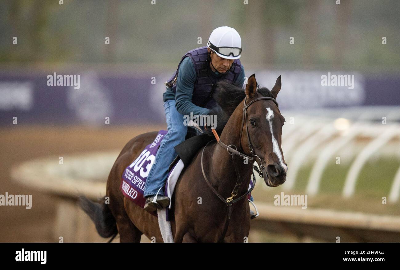 Bombard, entered in the Breeders' Cup Turf Sprint and trained by ...