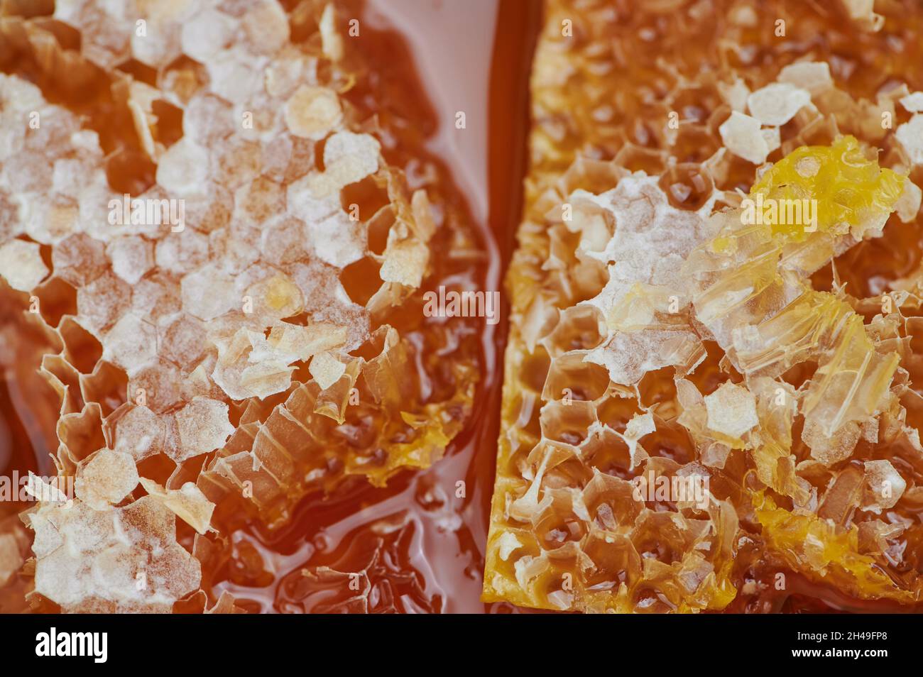 edible bee comb honey Stock Photo - Alamy