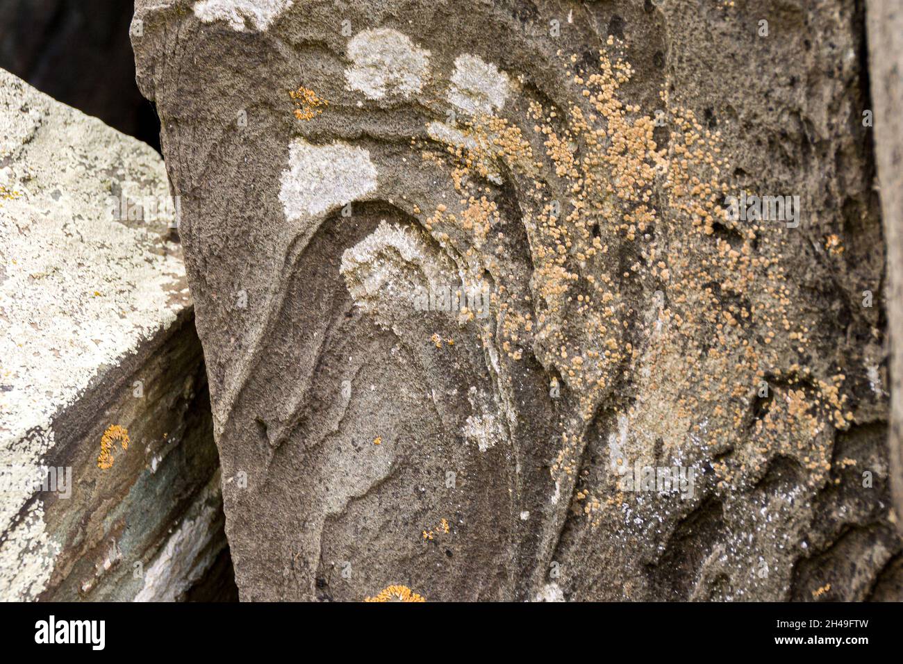 Sandstone stone is layered weathered and covered with white, gray and ...