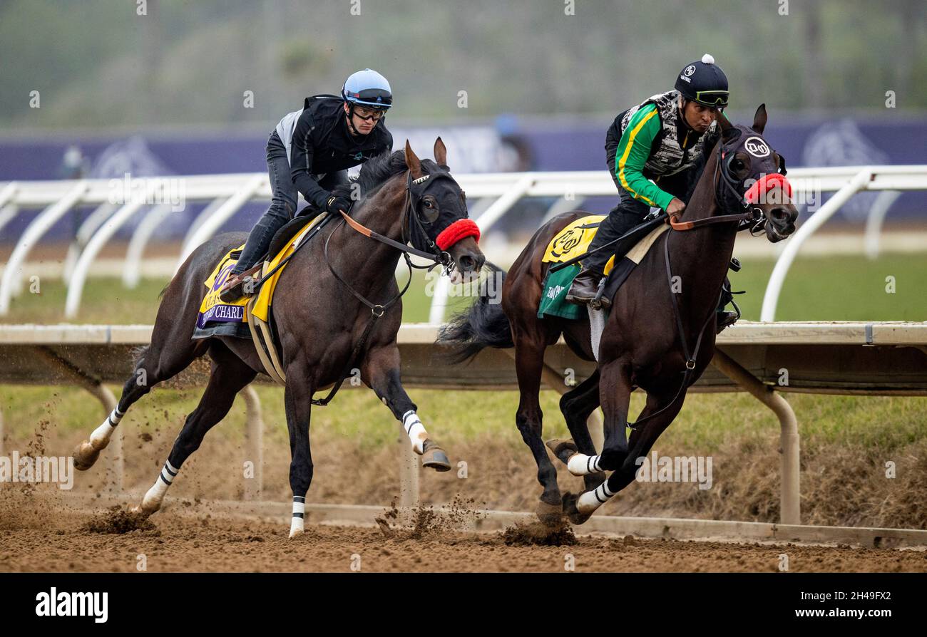 Hot Rod Charlie, entered in the Breeders' Cup Classic and trained by ...