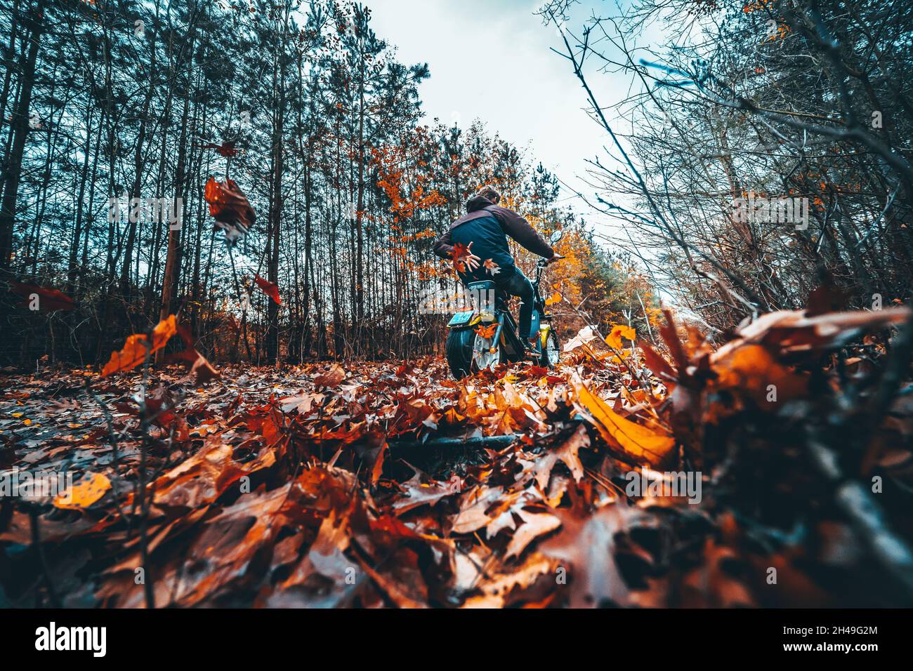 Man riding a bike through a fall forest Stock Photo - Alamy