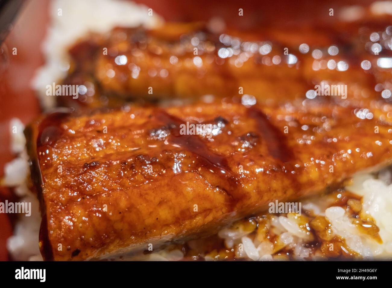 Close up of Unagi Don, Japanese Grilled Eel Rice Stock Photo - Alamy