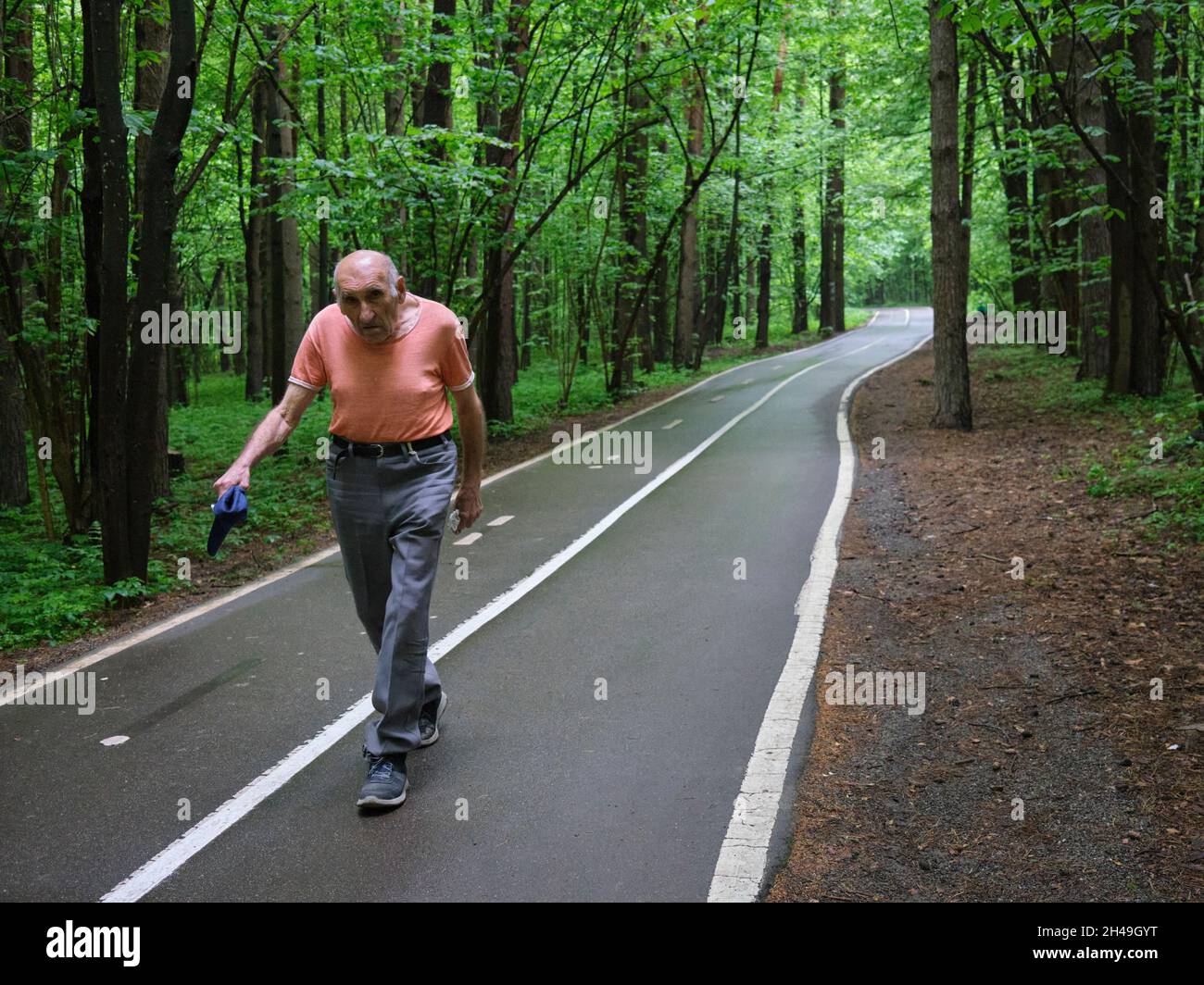 Senior man walks along the trail in Bitsevski Park (Bitsa Park). Moscow ...