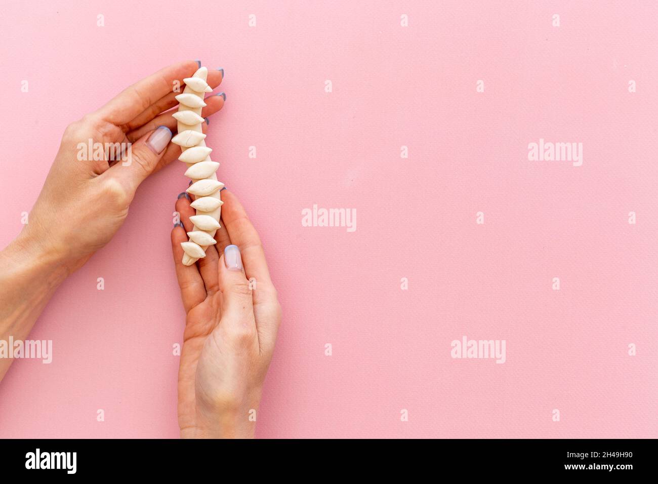 Human spinal column in hands. Spinal health and diseases concept Stock ...