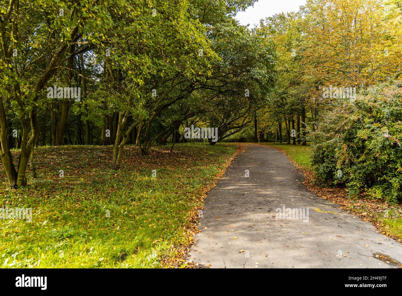 Long concrete path in Citadel park with trees and lamps around Stock ...